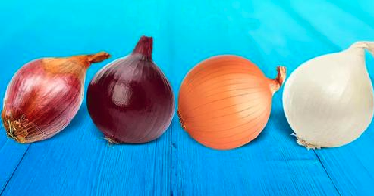 Czy znasz różnicę między cebulą czerwoną, białą i żółtą - Każdy ...